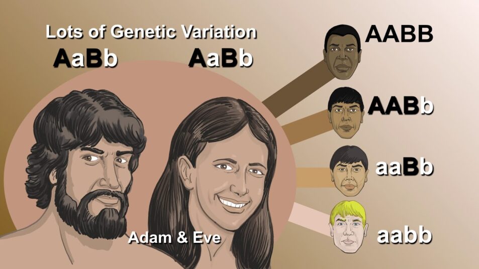 Scientific Evidence for One Human Race - Evidence-For-The-Bible
