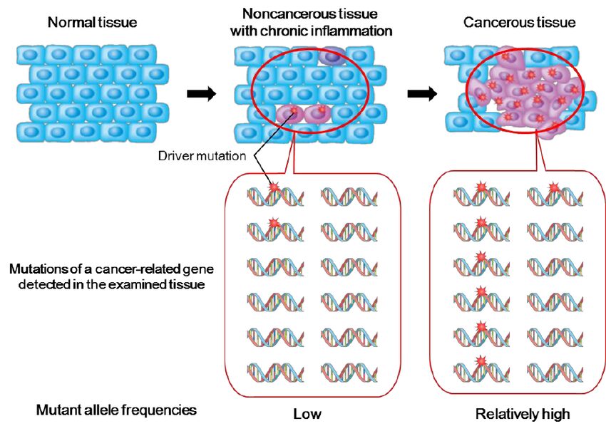 Genetic Entropy—Scientific Evidence Life Is Not Improving Over Time ...