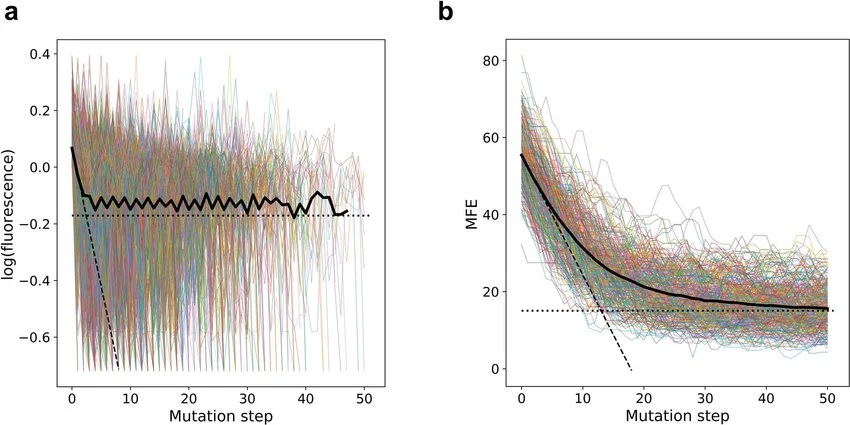 Genetic Entropy—Scientific Evidence Life Is Not Improving Over Time ...